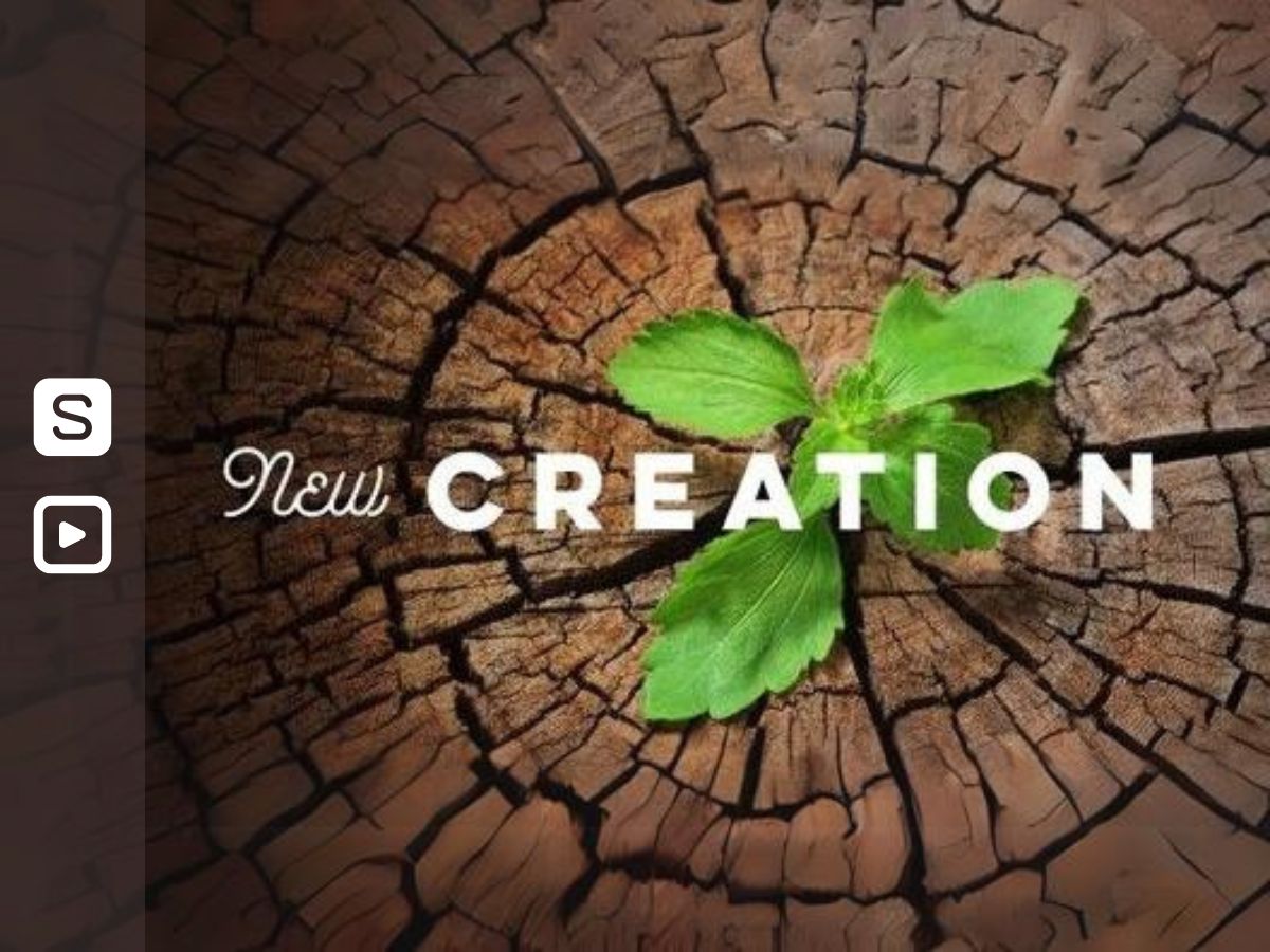 The New Creation - Explore Grow Go
